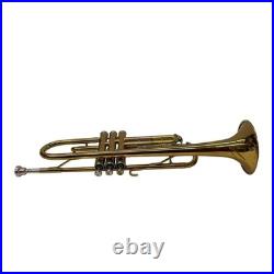 Glory Bb Brass Student Trumpet | Brass Musical Instruments